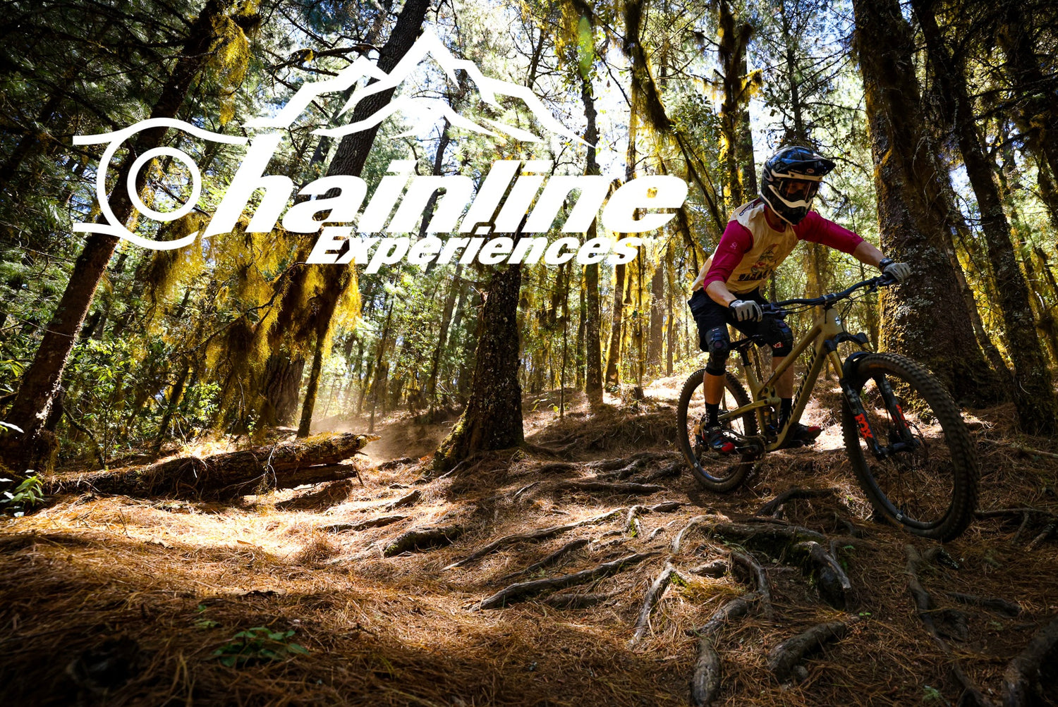 Chainline Bikes